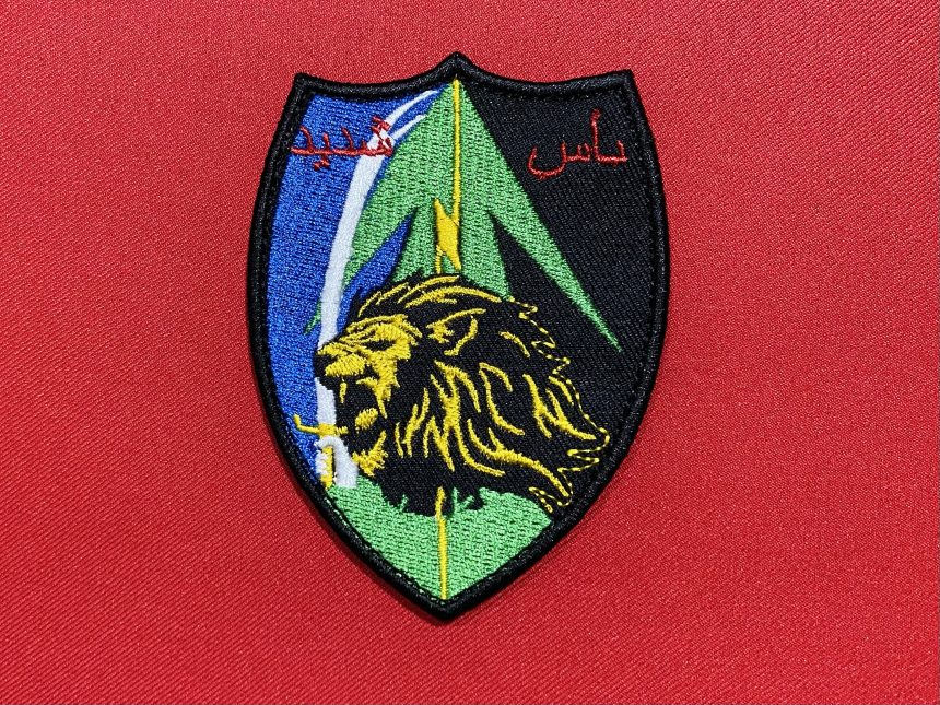 Hezbollah Radwan Force Patch - 3SJ Shop – Rare & Custom Military ...